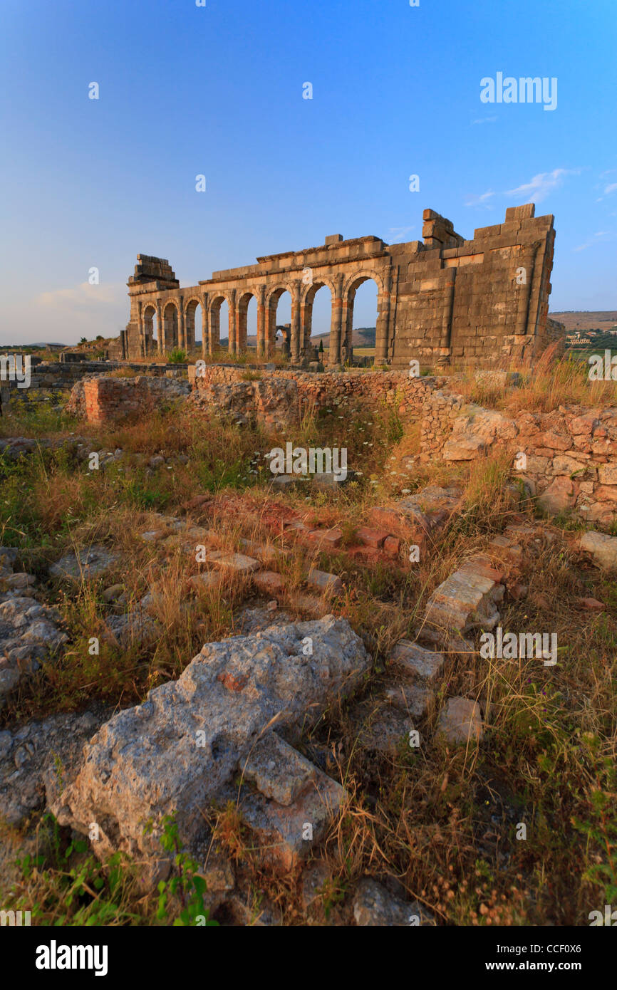 Morocco, Volubilis Archeological Site, Roman Ruins Stock Photo - Alamy