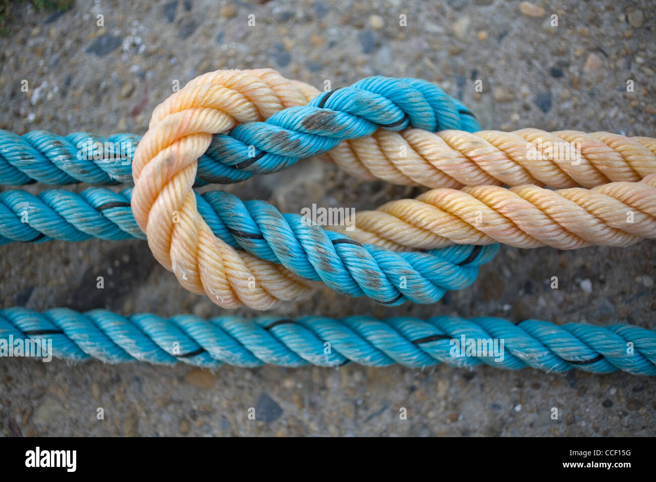 Blue and light yellow ropes knotted together Stock Photo - Alamy