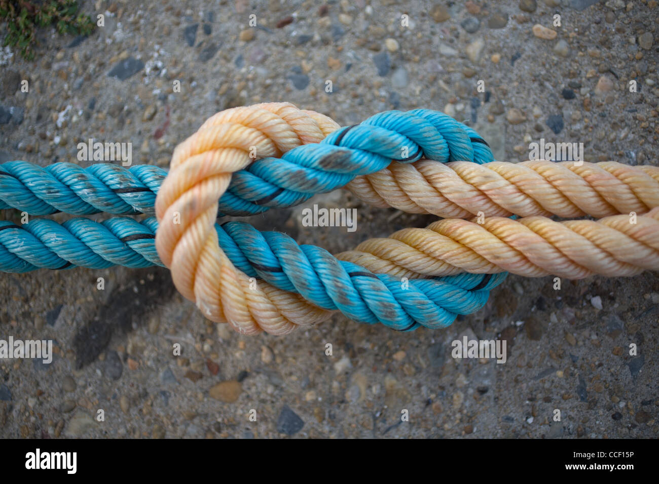 Blue and light yellow ropes knotted together Stock Photo - Alamy