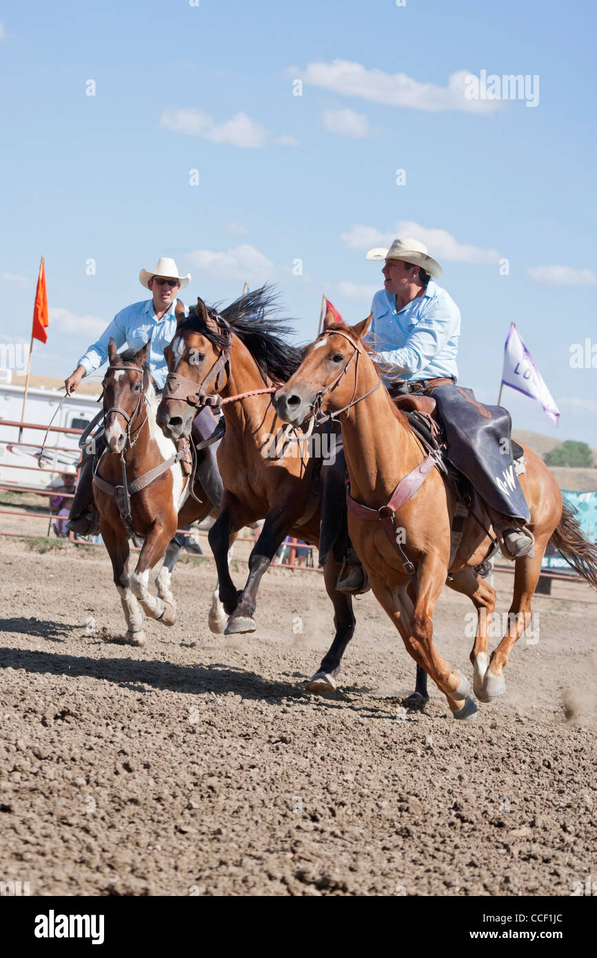 Crow Fair Indian Native American Montana Horse USA Stock Photo - Alamy