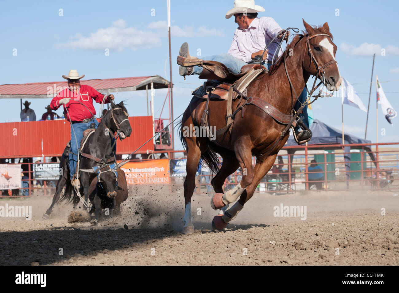 Crow Fair Indian Native American Montana Horse USA Stock Photo - Alamy