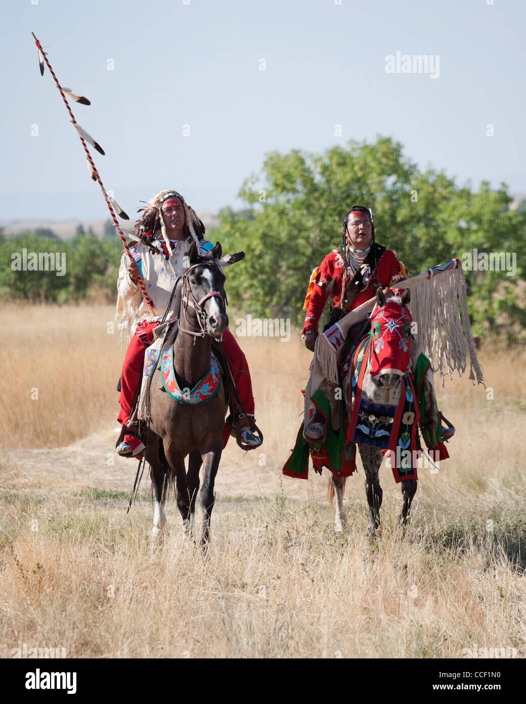 Crow Fair Indian Native American Montana Horse USA Stock Photo - Alamy