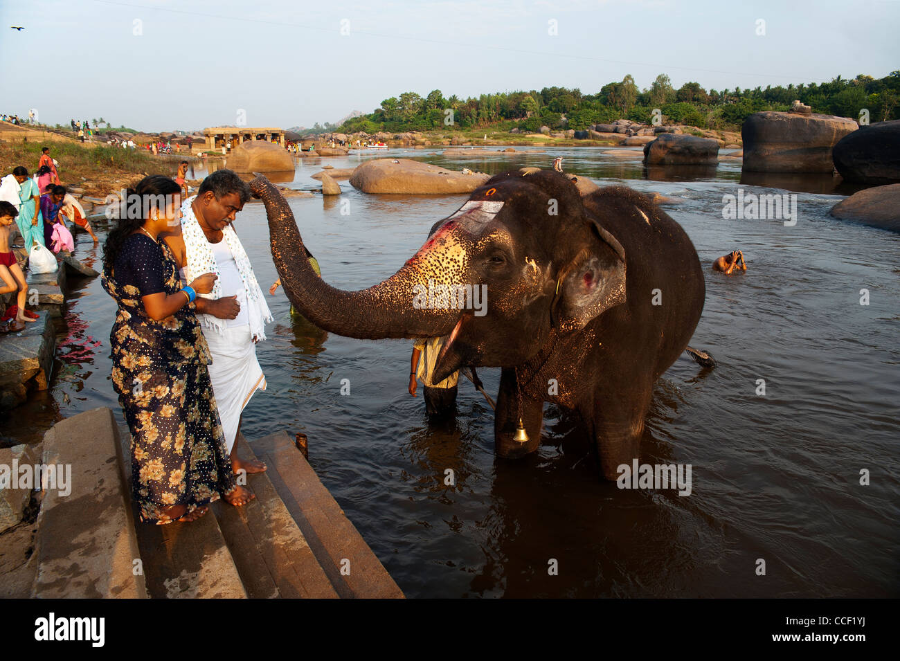 Elephant blessing a man in the banks of Tungabhadra river in Hampi ...
