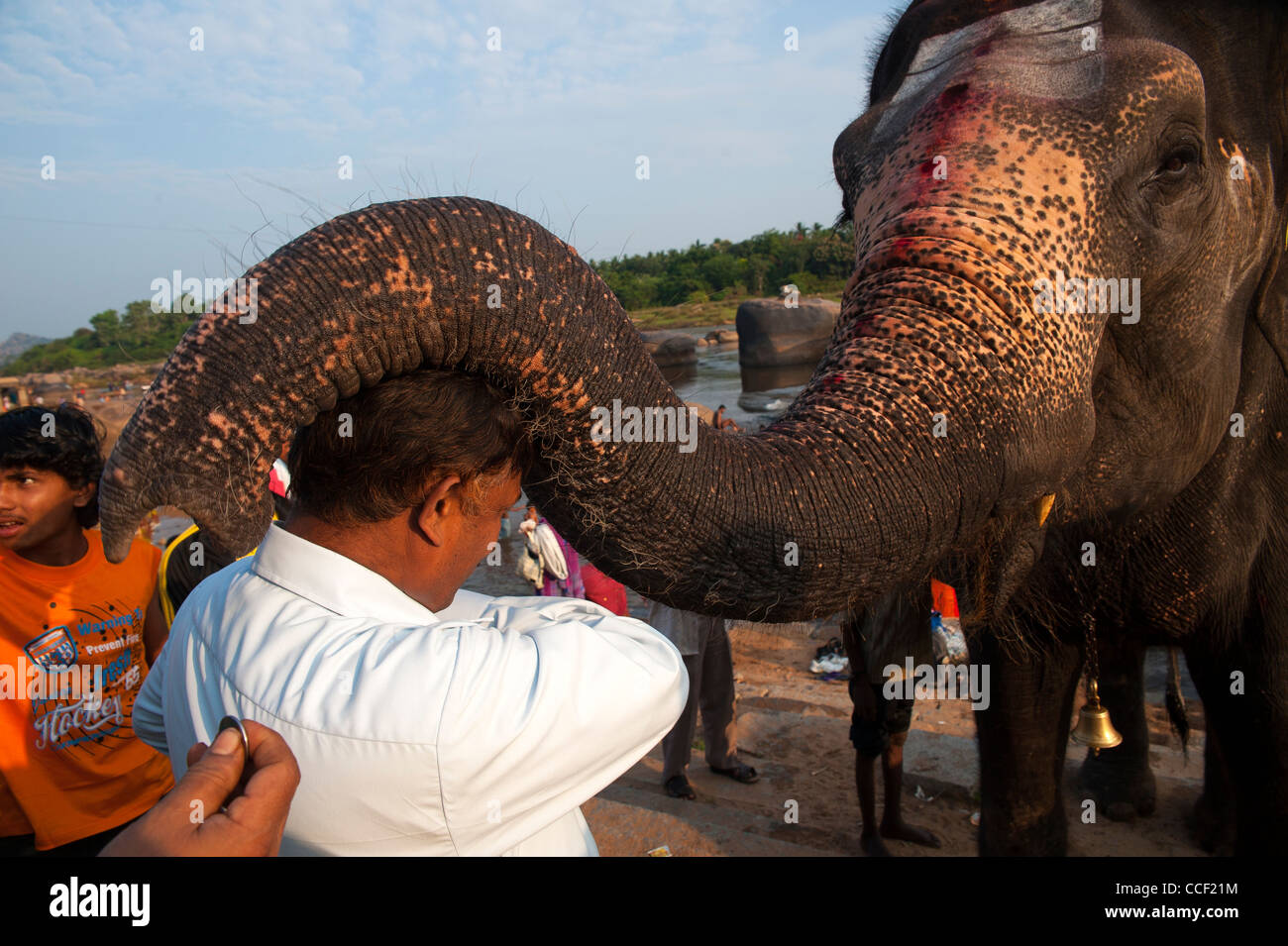 Elephant blessing a man in the banks of Tungabhadra river in Hampi ...