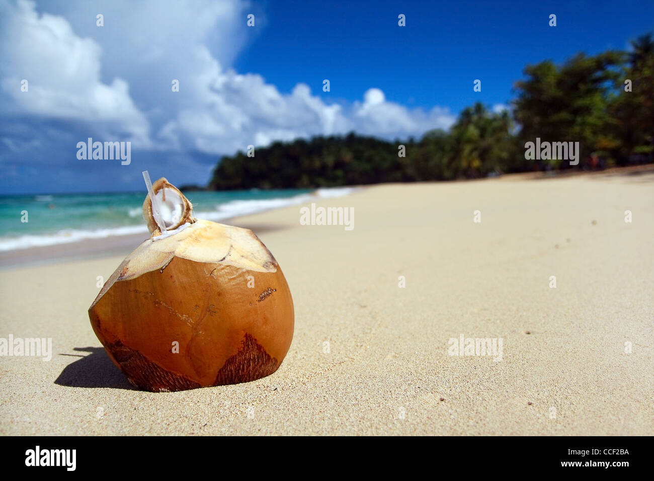 Coconut with pipe on beach of ocean Stock Photo - Alamy