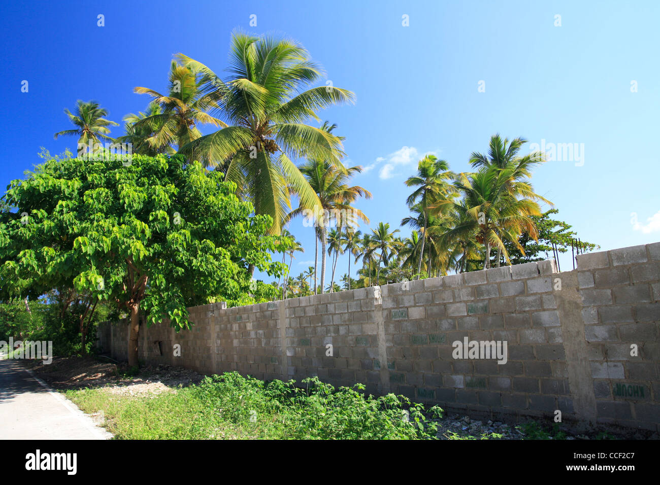 Caribbean palms and fence Stock Photo - Alamy