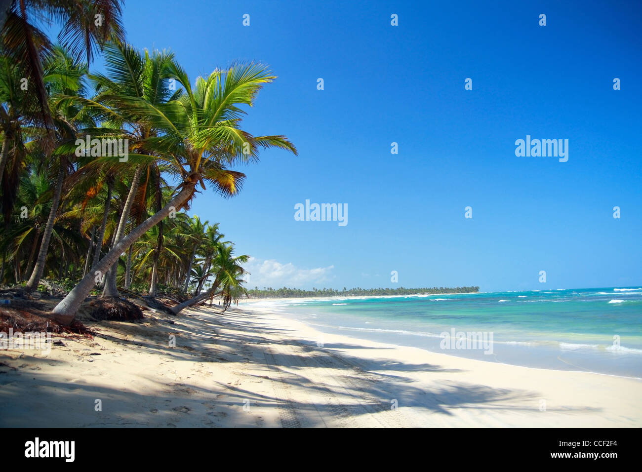 Dominican nature hi-res stock photography and images - Alamy