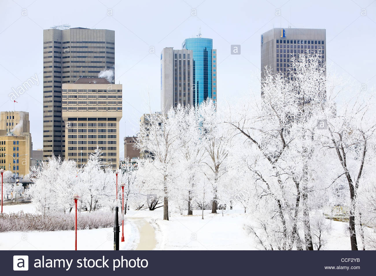 City skyline, winter, Winnipeg, Manitoba, Canada Stock Photo: 42128223 ...