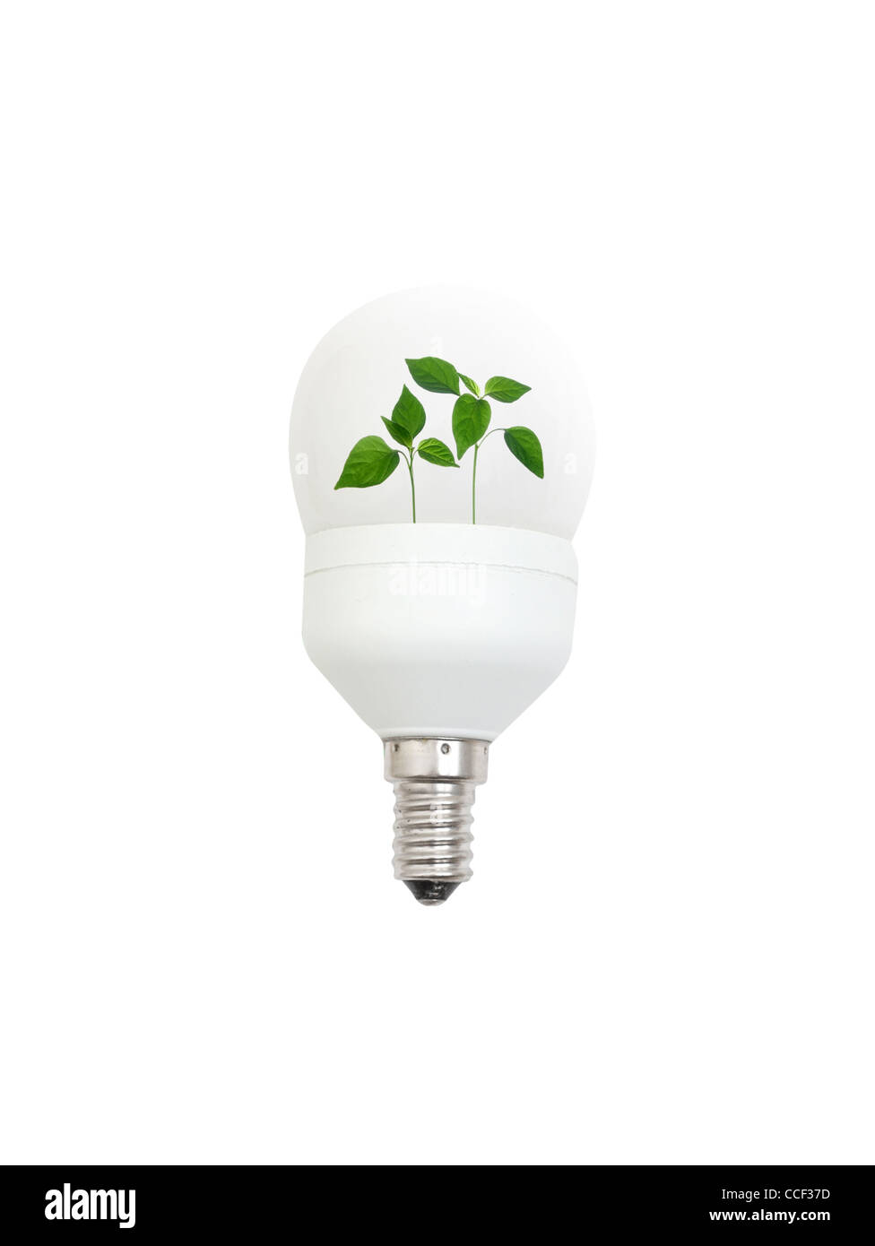 Light bulb with leaves Stock Photo - Alamy