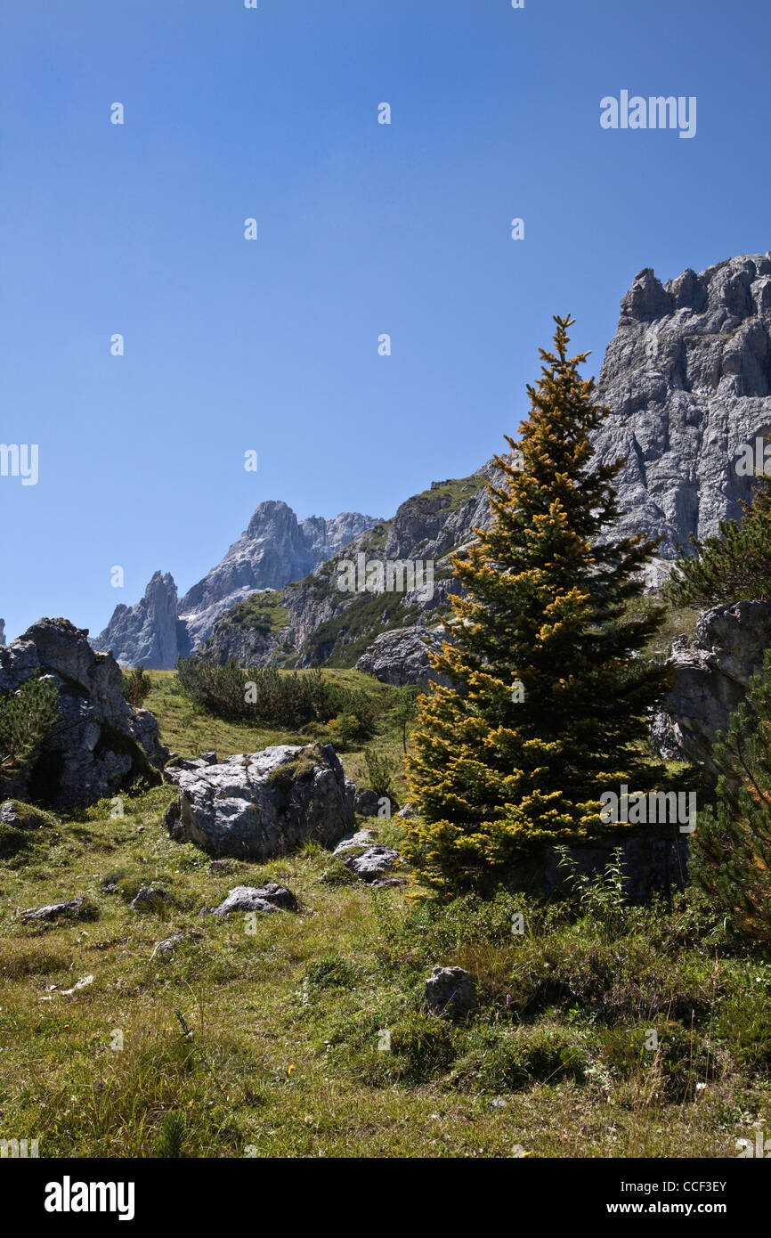 Views near Passo Monte Croce in the Italian Dolomite Alps Stock Photo ...