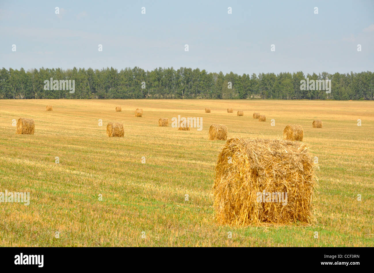 Haystacks field sun hi-res stock photography and images - Alamy