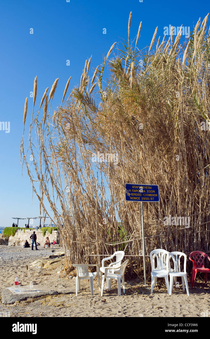 On the beach, Paleo Faliro, Athens, Greece Stock Photo - Alamy