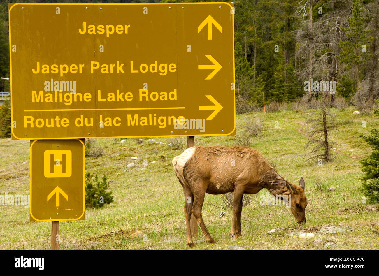 Alberta canada sign hi-res stock photography and images - Alamy