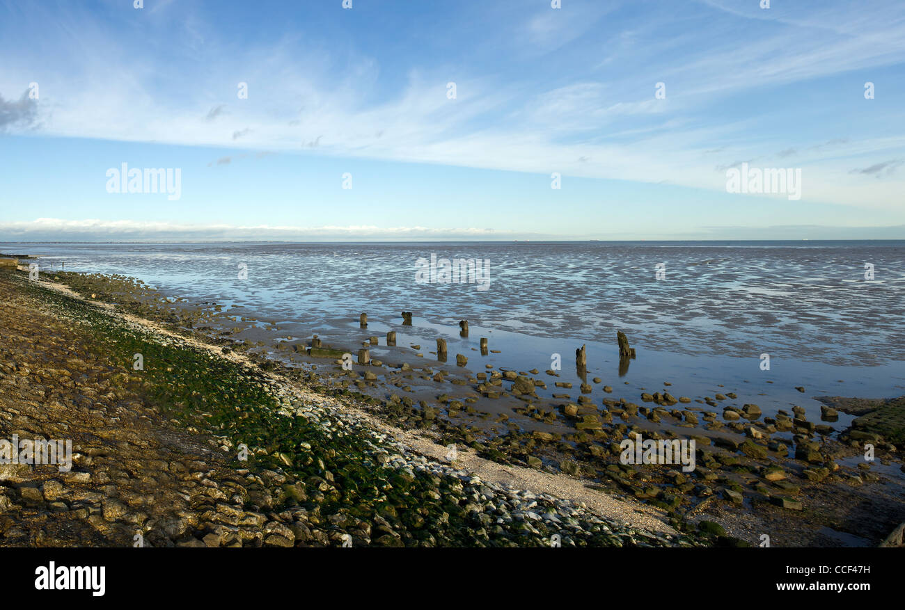 The foreshore on the Isle of Grain in Kent. The site of the proposed ...