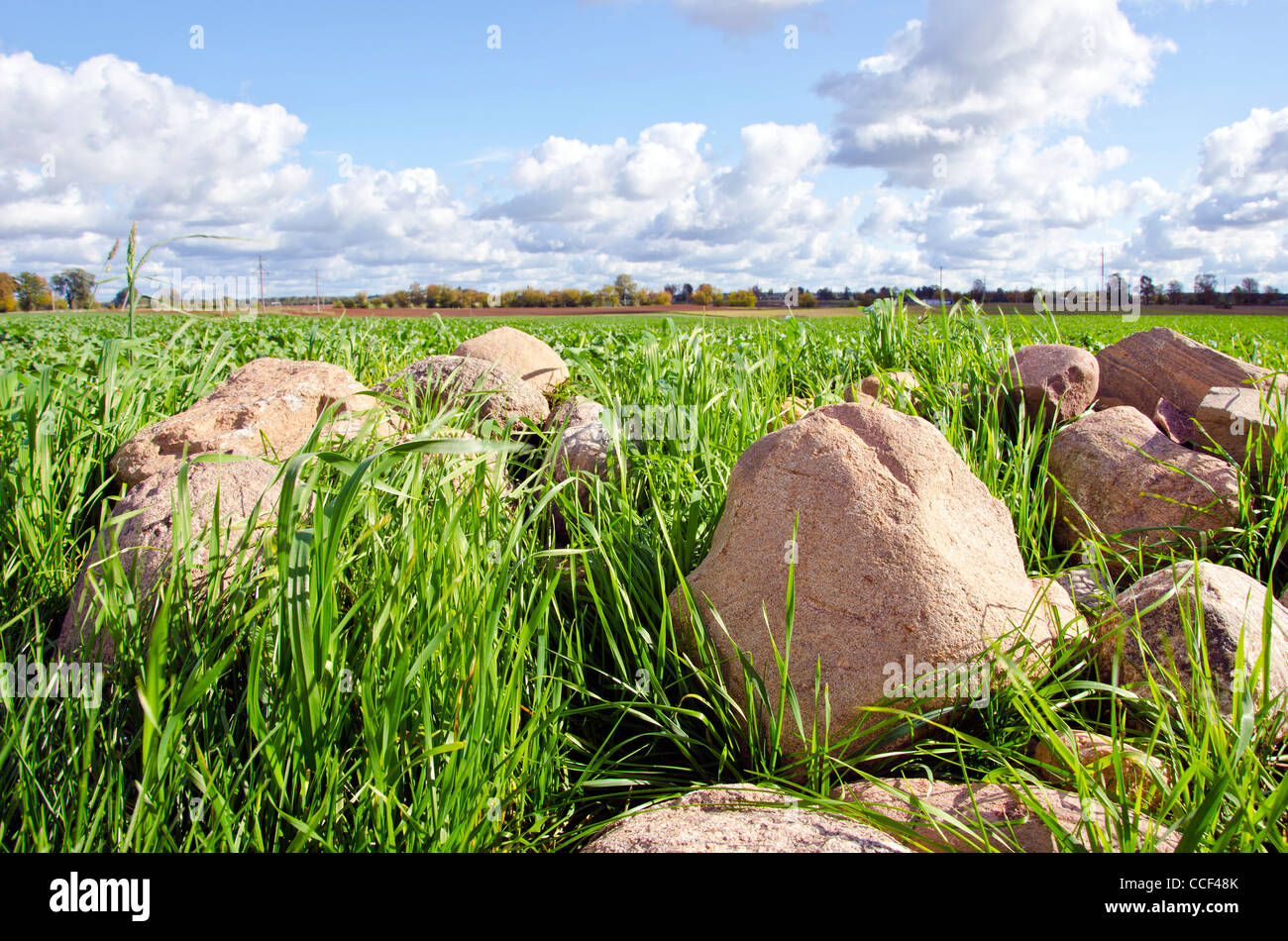 Pile stones field hi-res stock photography and images - Alamy