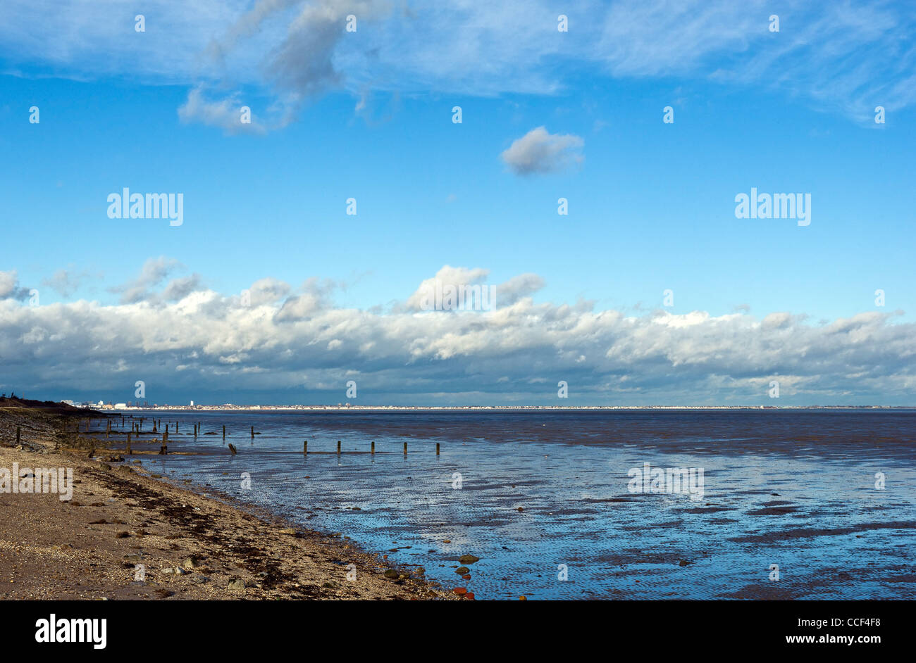 The foreshore on the Isle of Grain in Kent. The proposed site for the ...