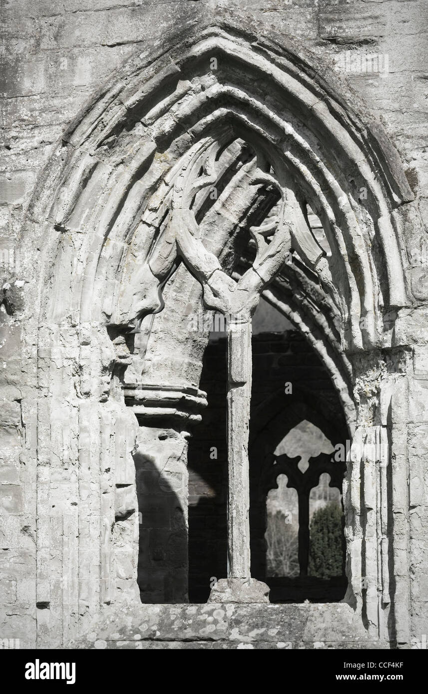 Spooky cathedral hi-res stock photography and images - Alamy