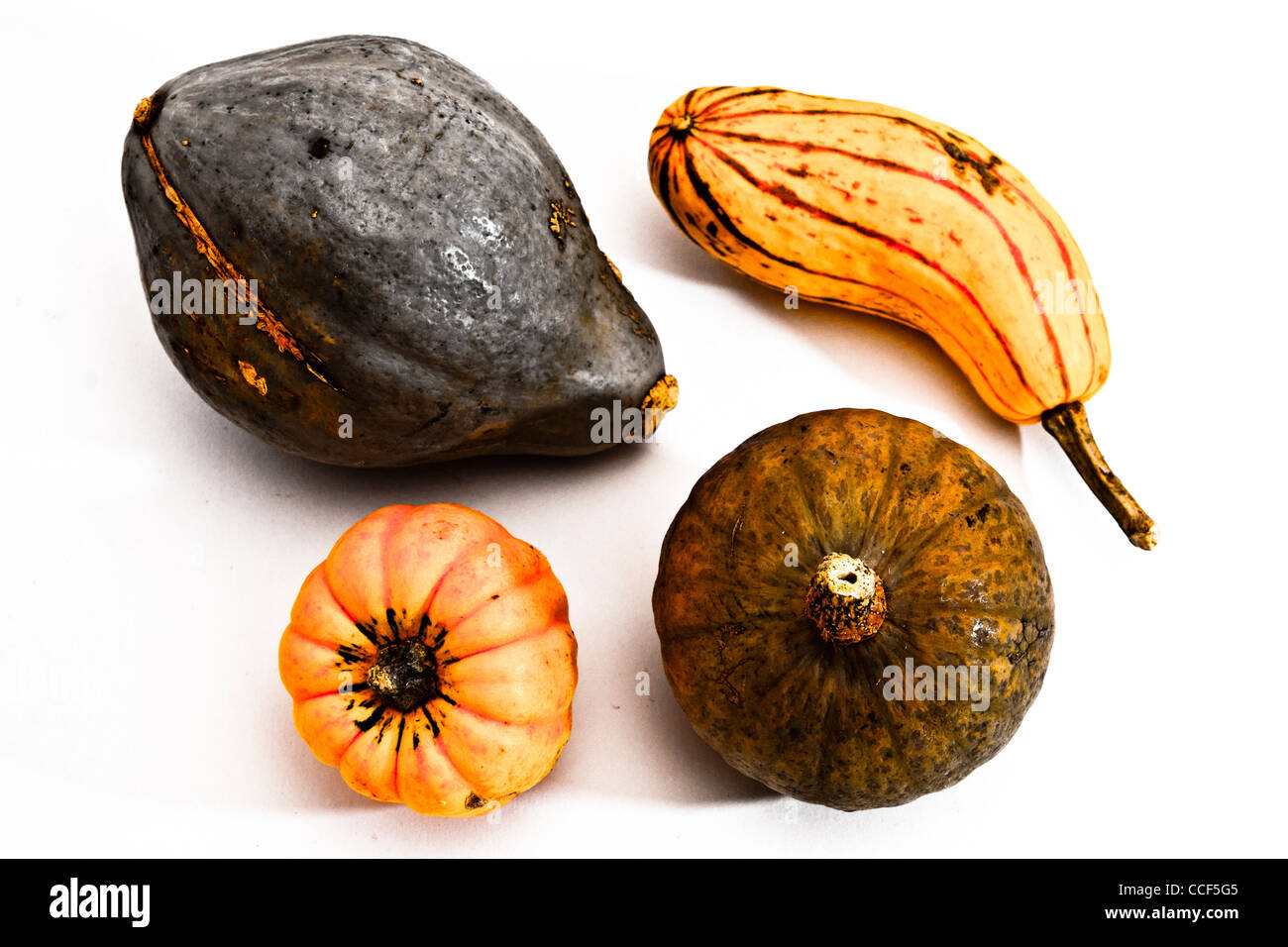 Selection of British squash Stock Photo - Alamy