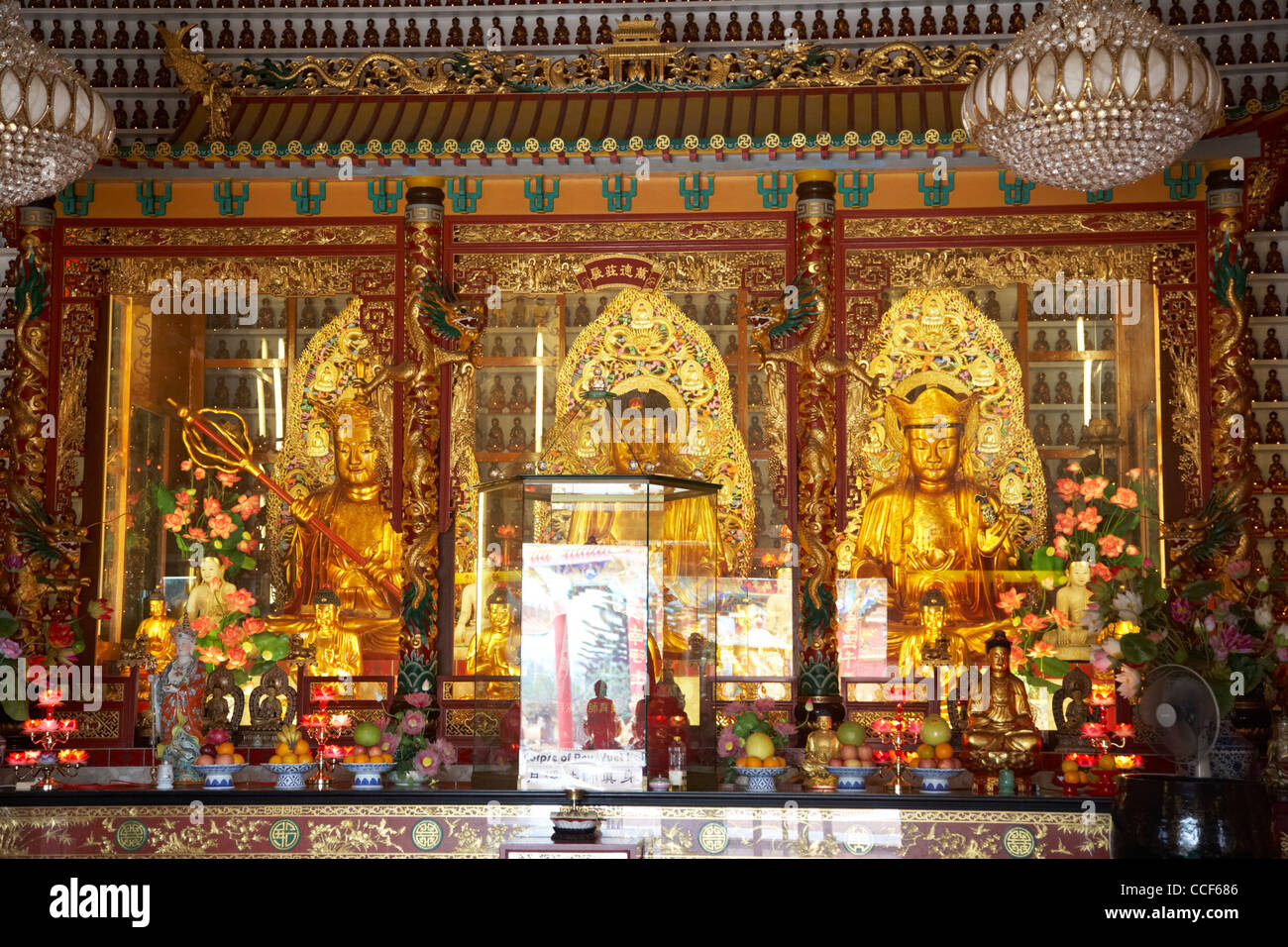 preserved corpse of the founder reverend yuet kai on the altar of the ...
