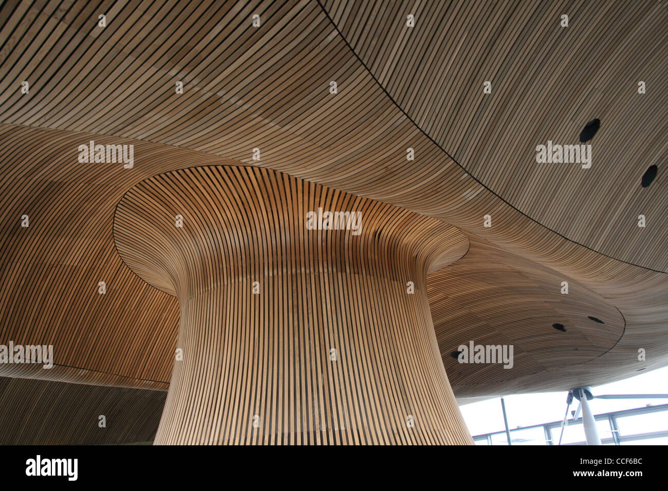 The wavy wooden ceiling of the Welsh Parliament building on the Cardiff ...