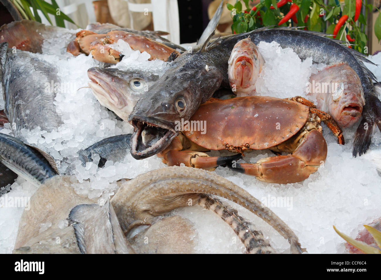 Fish seafood on display at the federation of fishmongers market stall ...