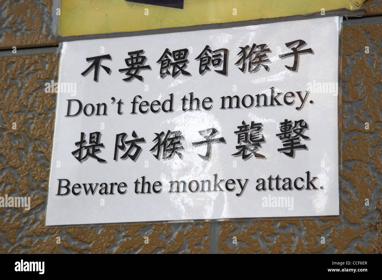 dont feed the monkeys beware the monkey attack warning sign at the ...