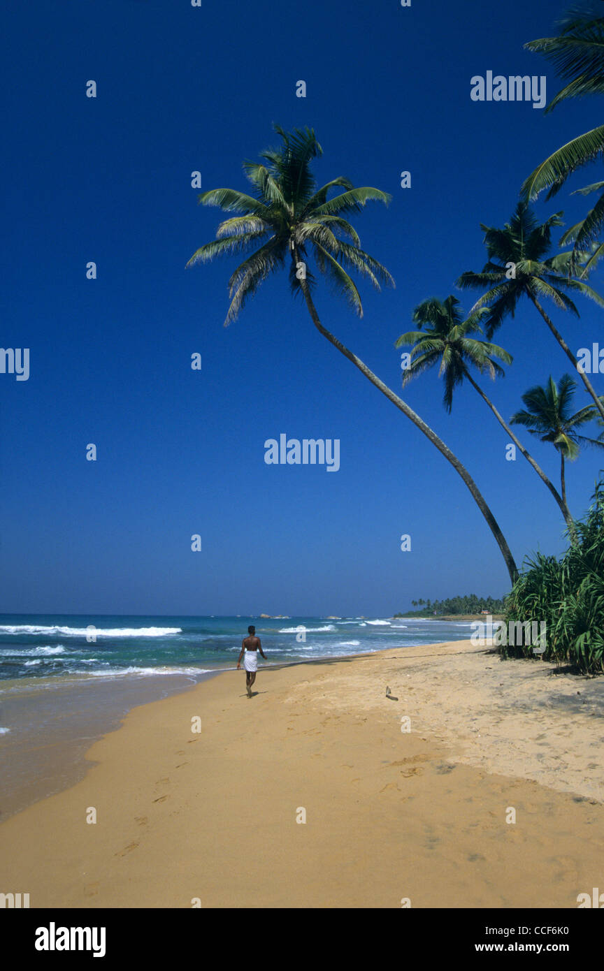 Beach of Bentota, Sri Lanka Stock Photo - Alamy