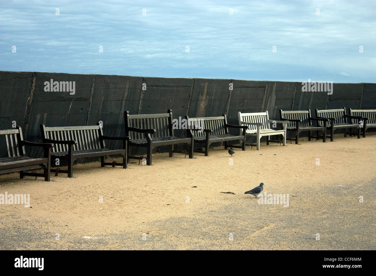 Line of Benches taken at the beach Stock Photo - Alamy