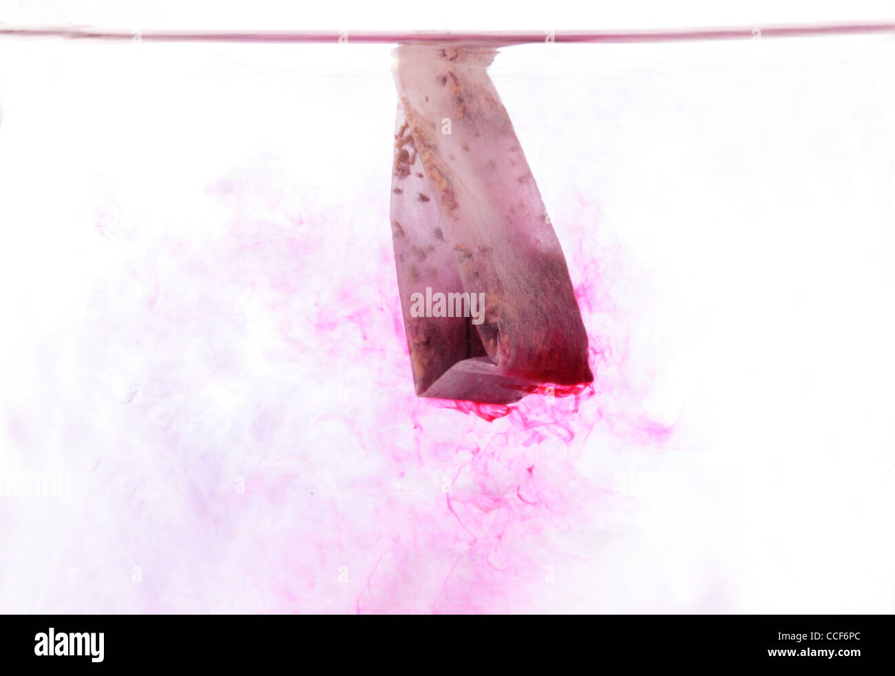 red Teabag in hot water in white background Stock Photo - Alamy