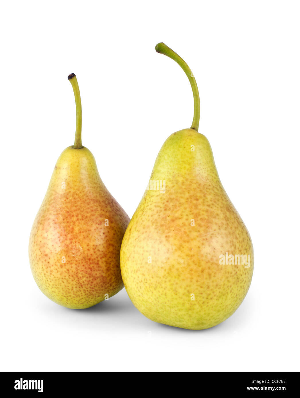 Two pears isolated on white background Stock Photo - Alamy