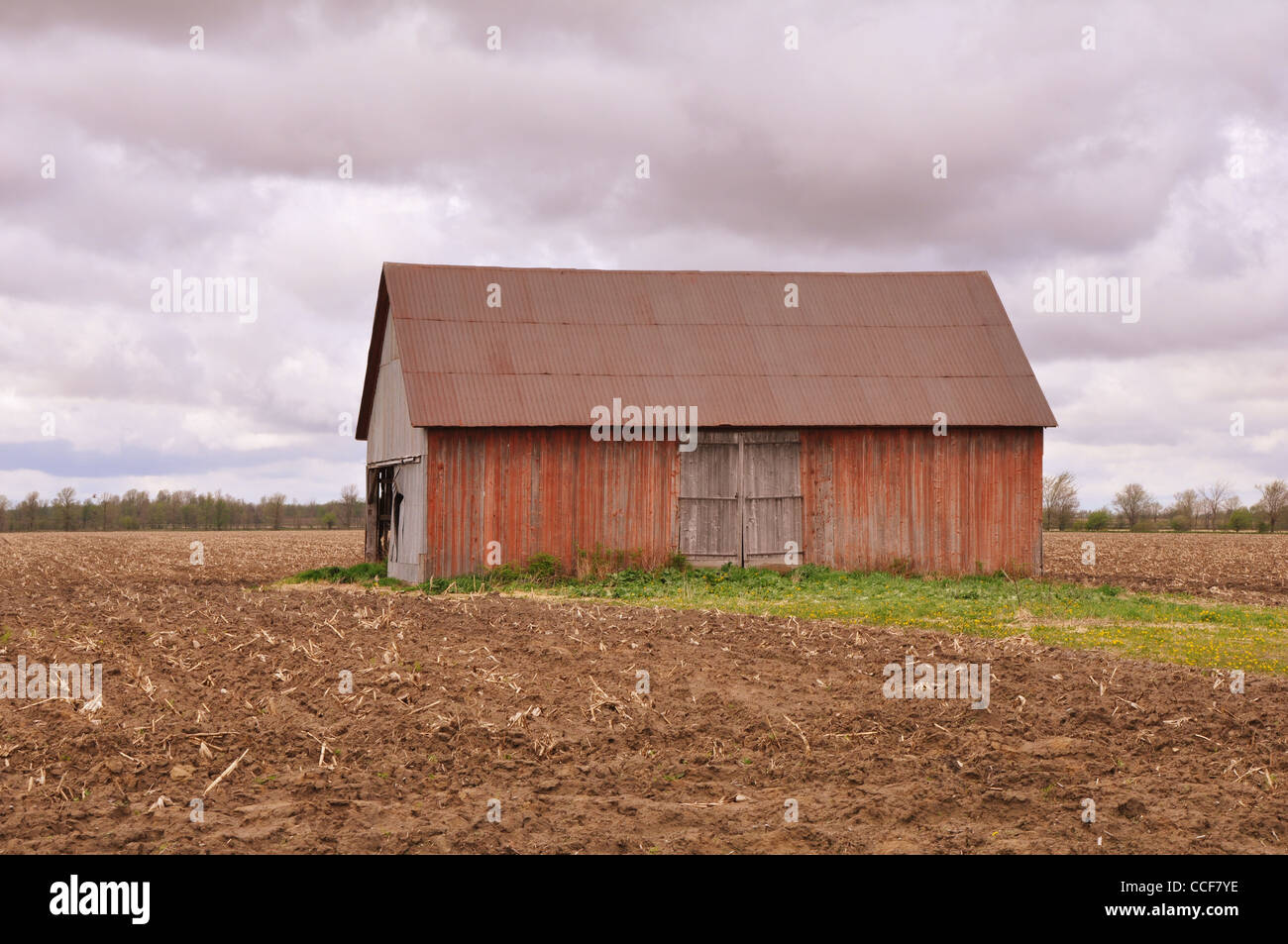 Barn in a field Stock Photo - Alamy