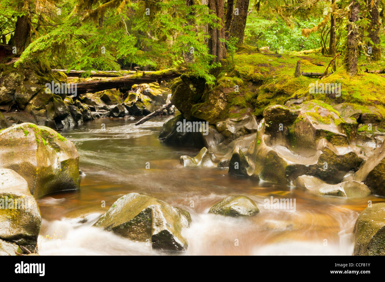 Kruzof island hi-res stock photography and images - Alamy