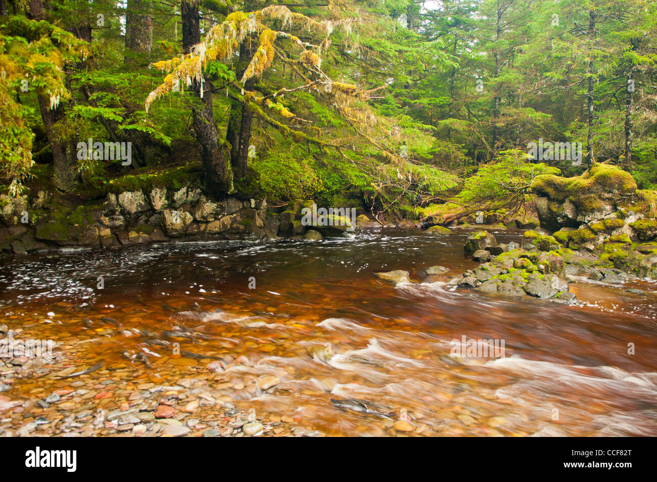 Kruzof island hi-res stock photography and images - Alamy