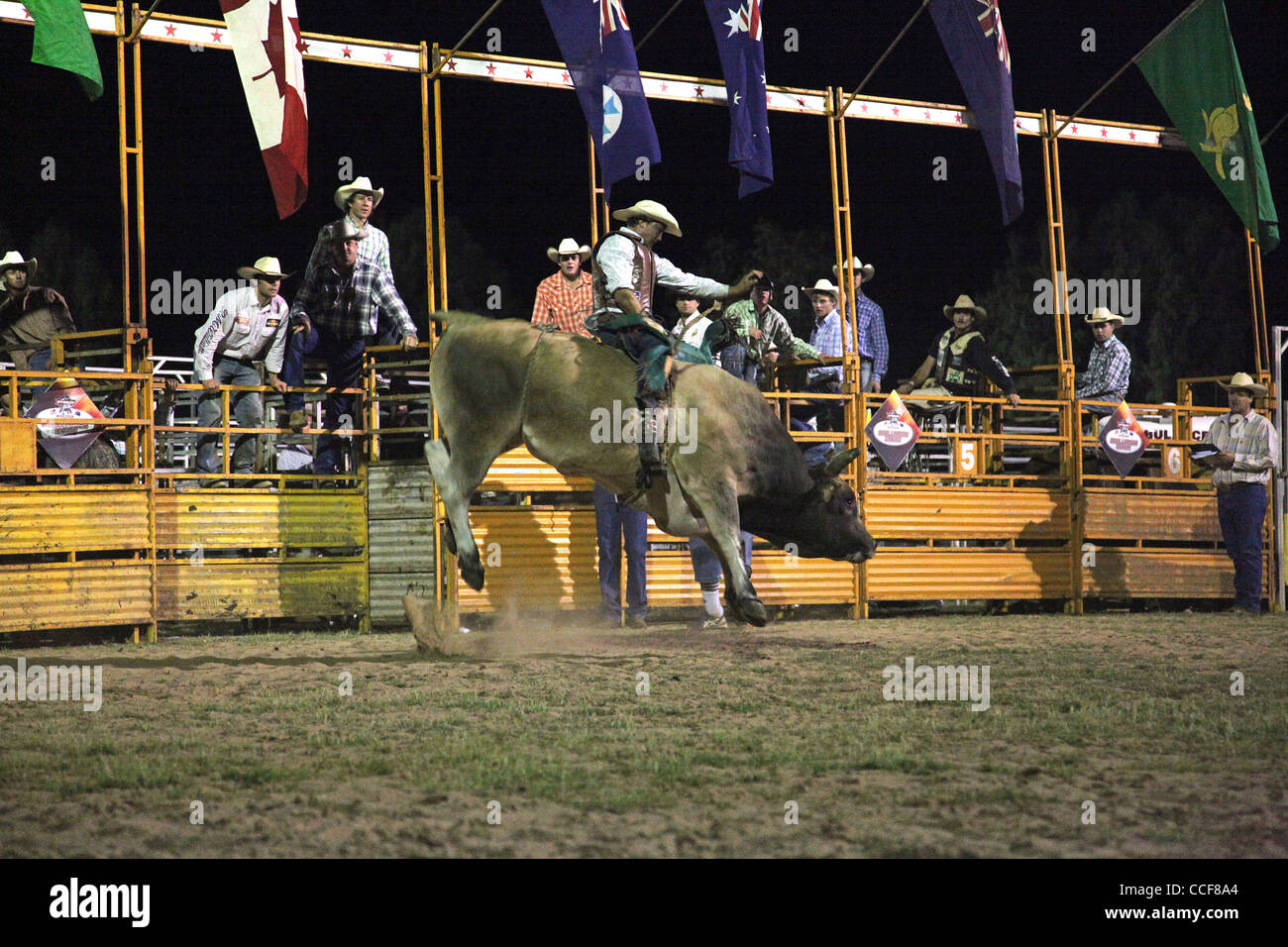 Professional Bull Riding Contest, Cunnamulla, Queensland Stock Photo ...