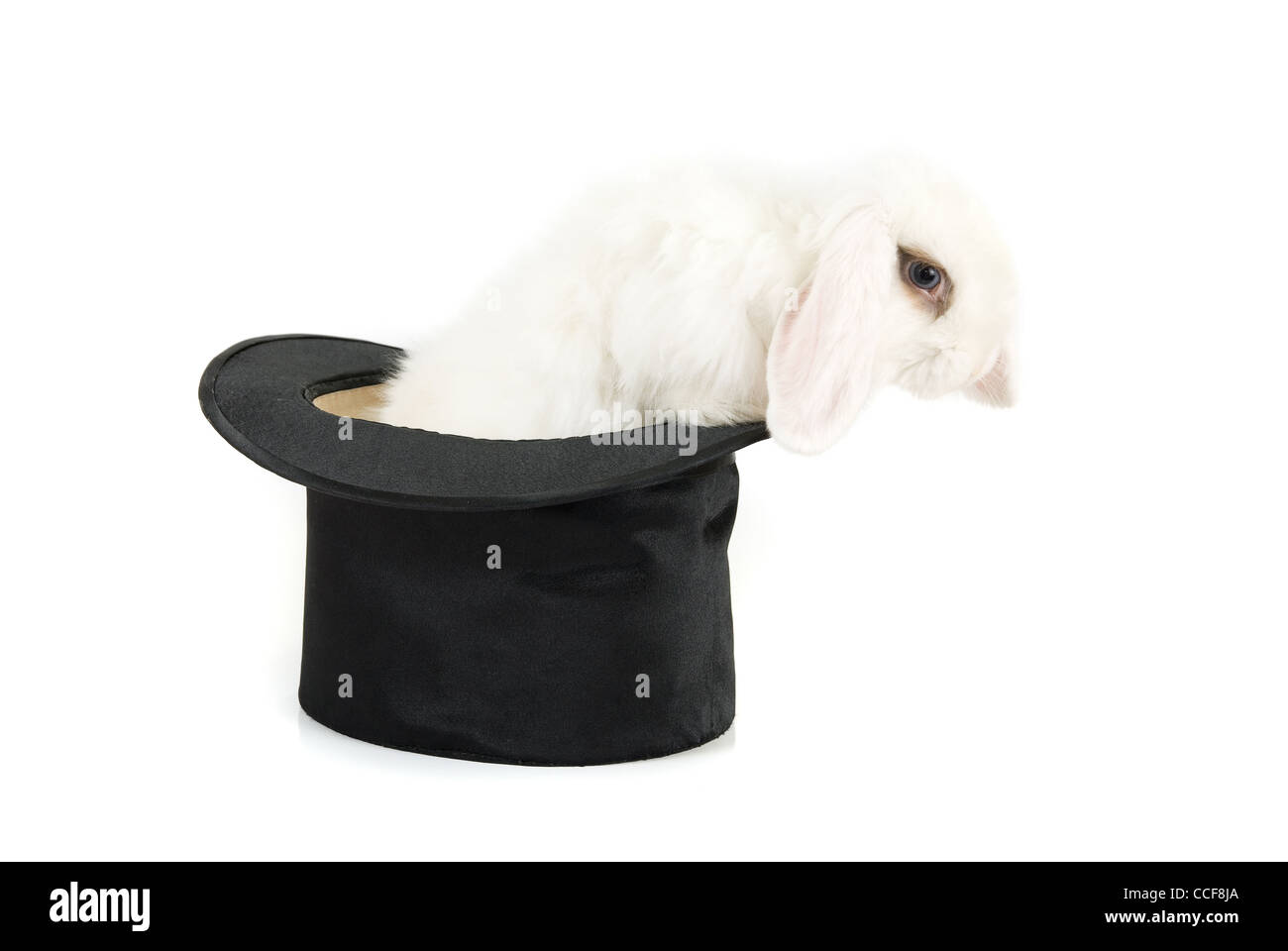 Little rabbit at magic hat isolated on a white background Stock Photo ...
