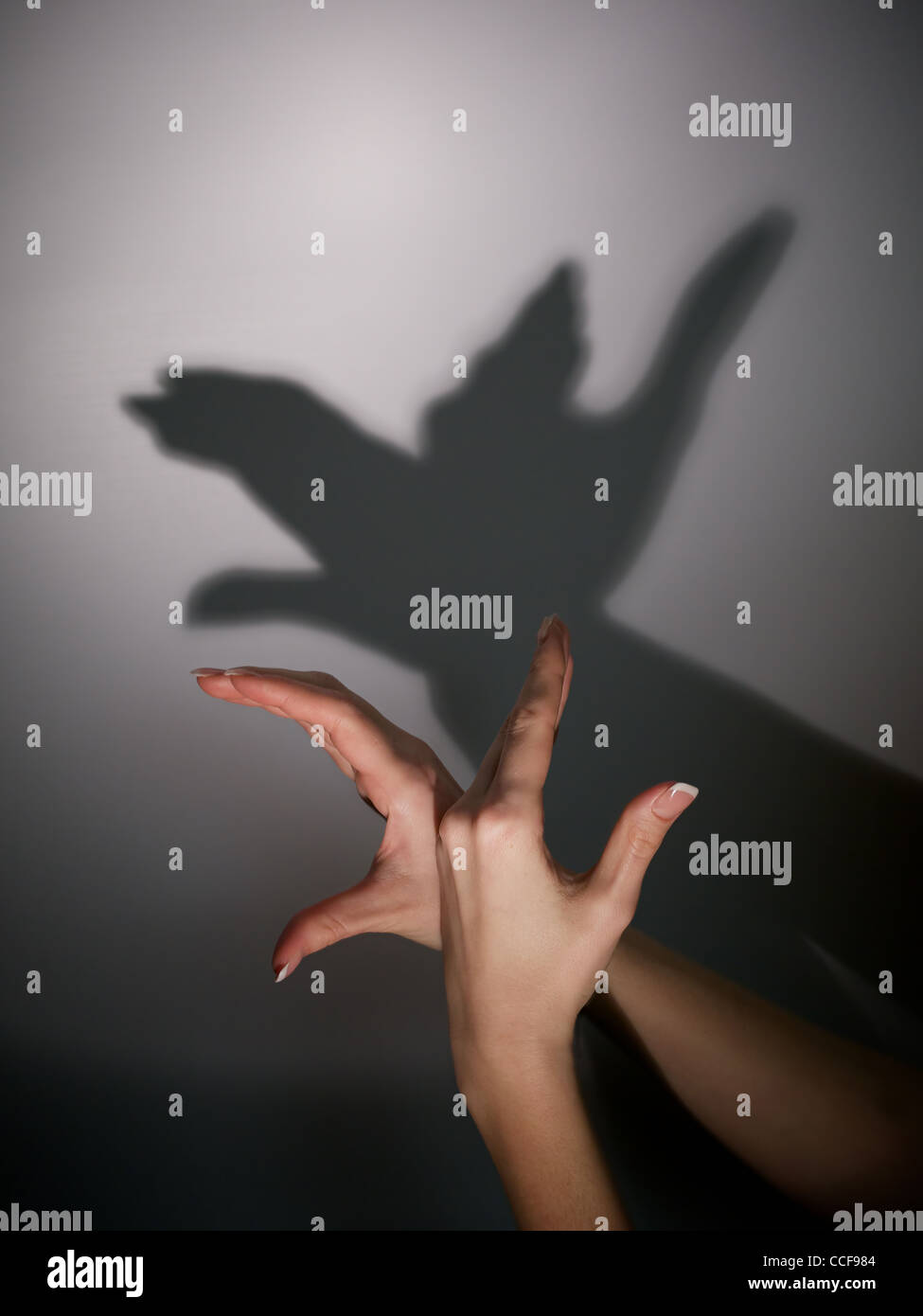 silhouette shadow of bird from young woman's hands Stock Photo - Alamy