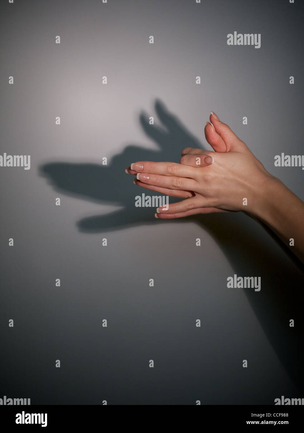 Shadow hands wolf hi-res stock photography and images - Alamy