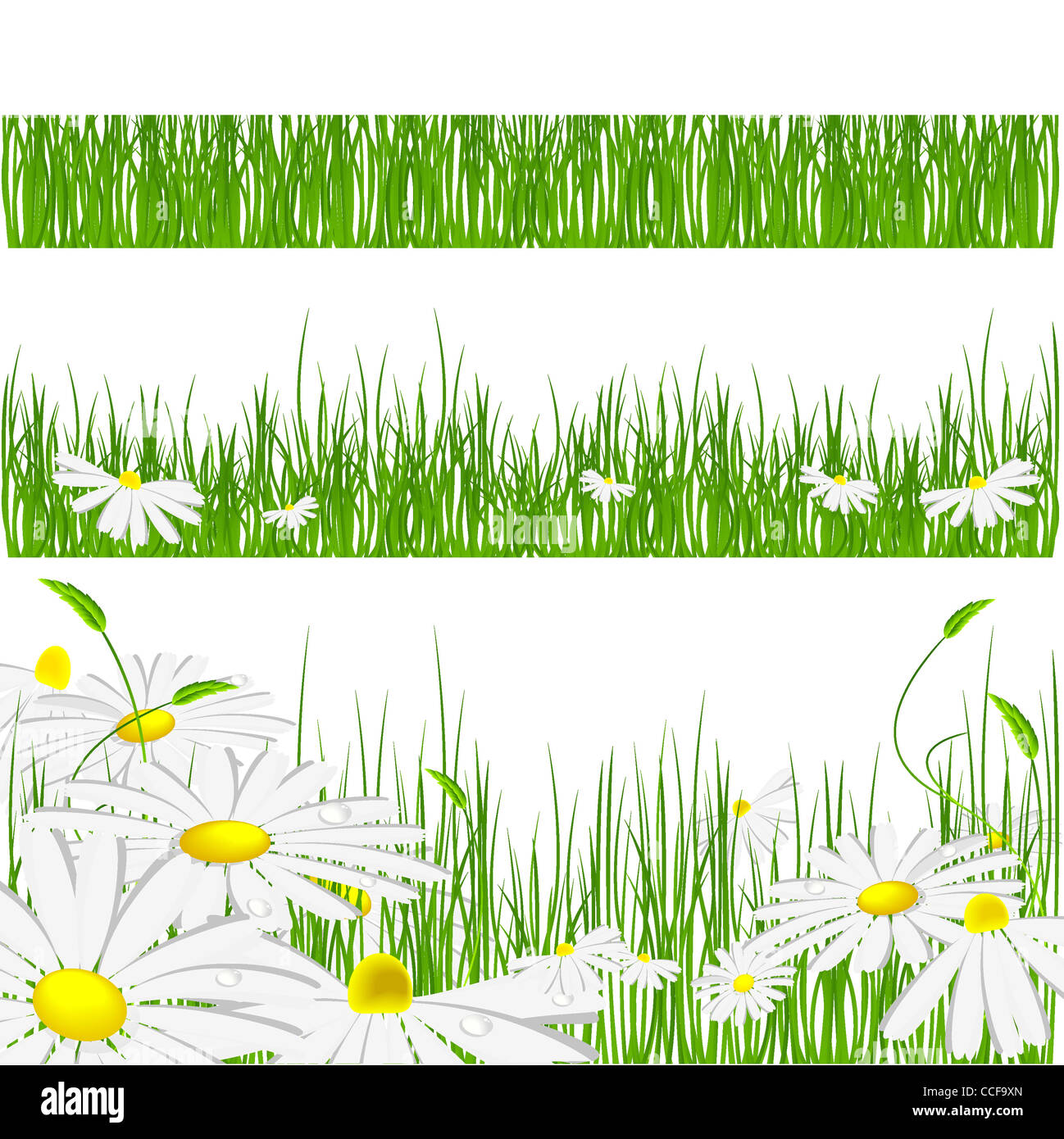 floral set. Elements for your design Stock Photo - Alamy