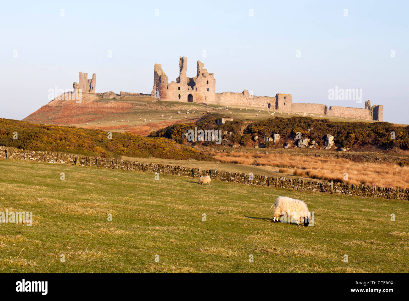 Dunstanburgh Castle.An iconic castle ruin, once one of the largest and ...