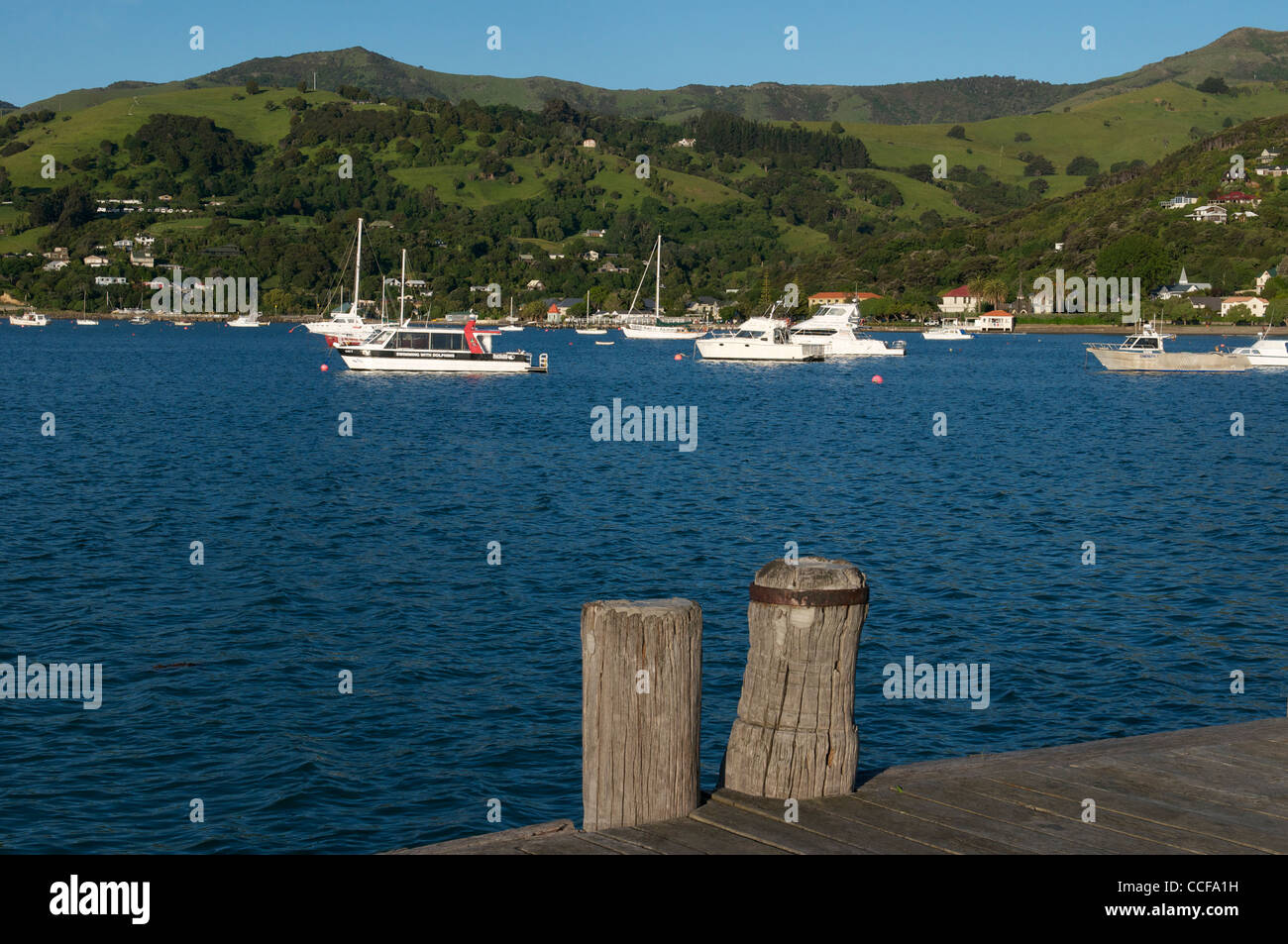 Akaroa French Bay on the Banks Peninsular New Zealand Stock Photo - Alamy