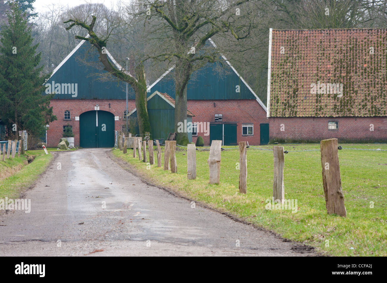 typical dutch farm in the eastern part of Netherlands Stock Photo - Alamy