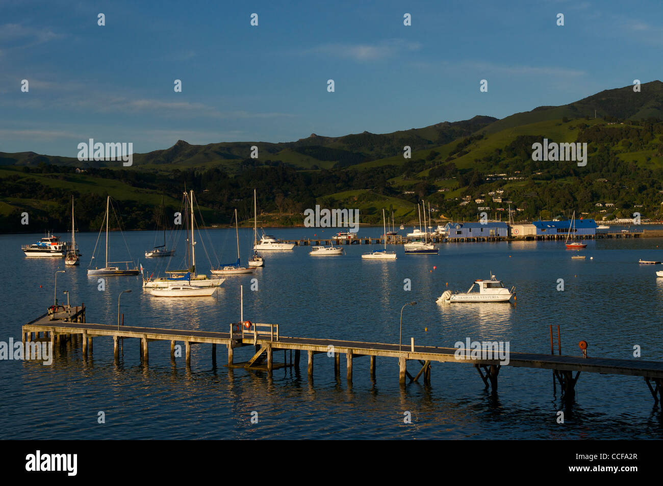 Akaroa French Bay on the Banks Peninsular New Zealand Stock Photo - Alamy