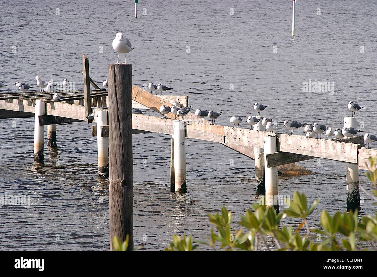 Jan. 3, 2011 - New York, New York, U.S. - K41059JKRON. TRIP TO FLORIDA ...