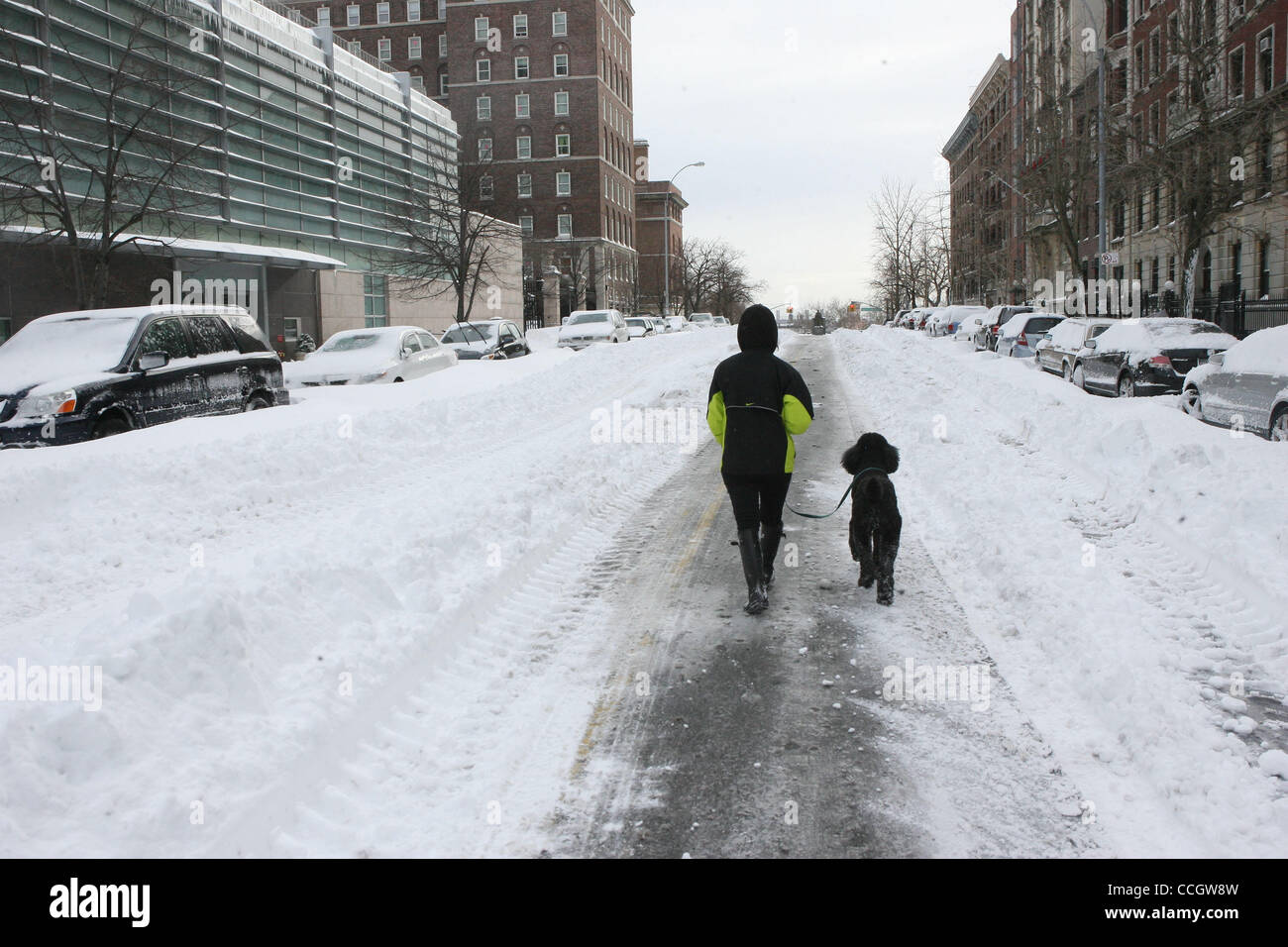 Cars trying to get around in the snow, MTA Buses stock in the middle of ...