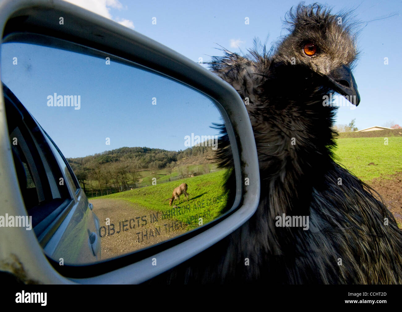 Safari drive thru hi-res stock photography and images - Alamy
