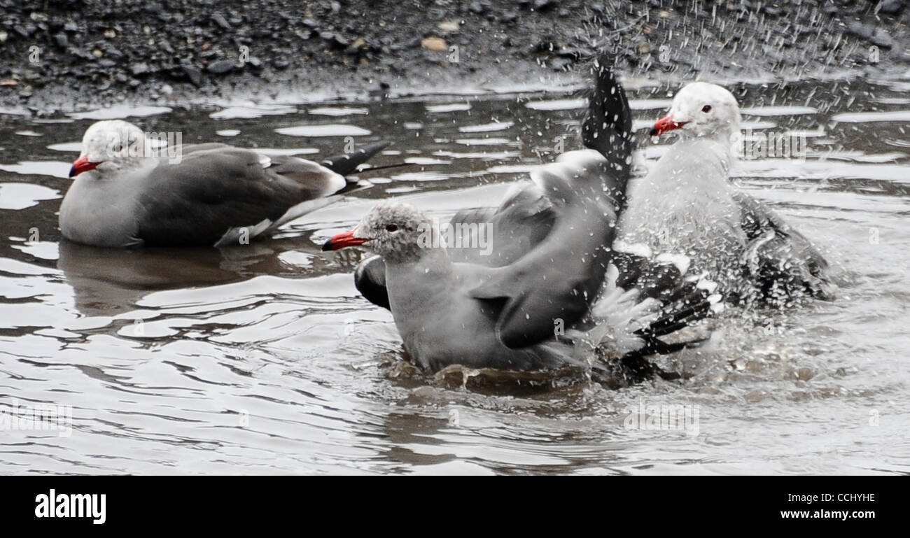 Bath in the rain hi-res stock photography and images - Alamy