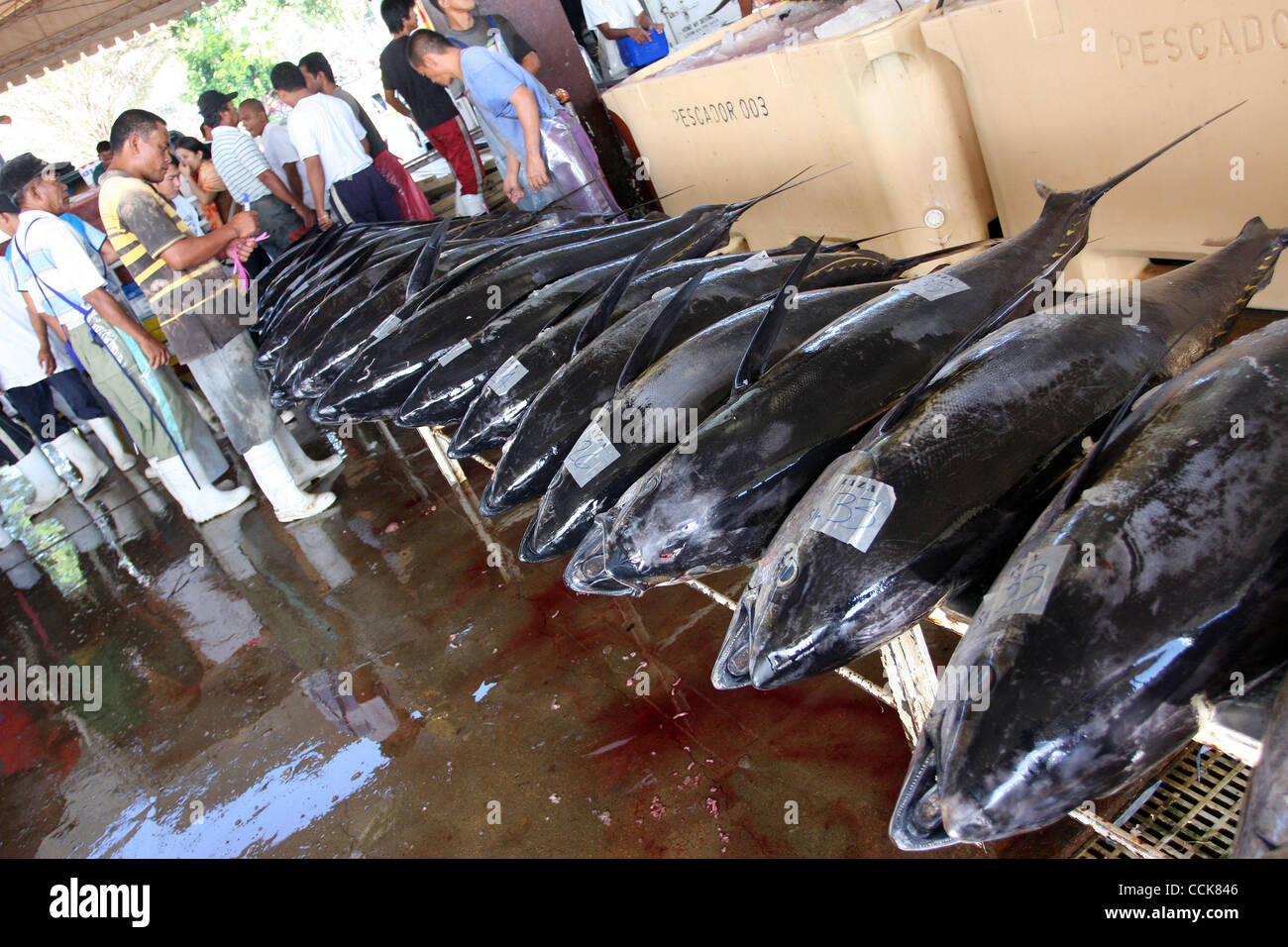 Philippine tuna hi-res stock photography and images - Alamy