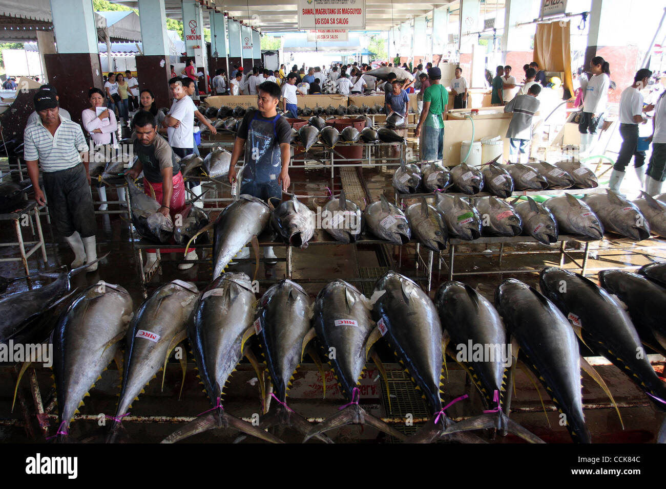 Philippine tuna hi-res stock photography and images - Alamy