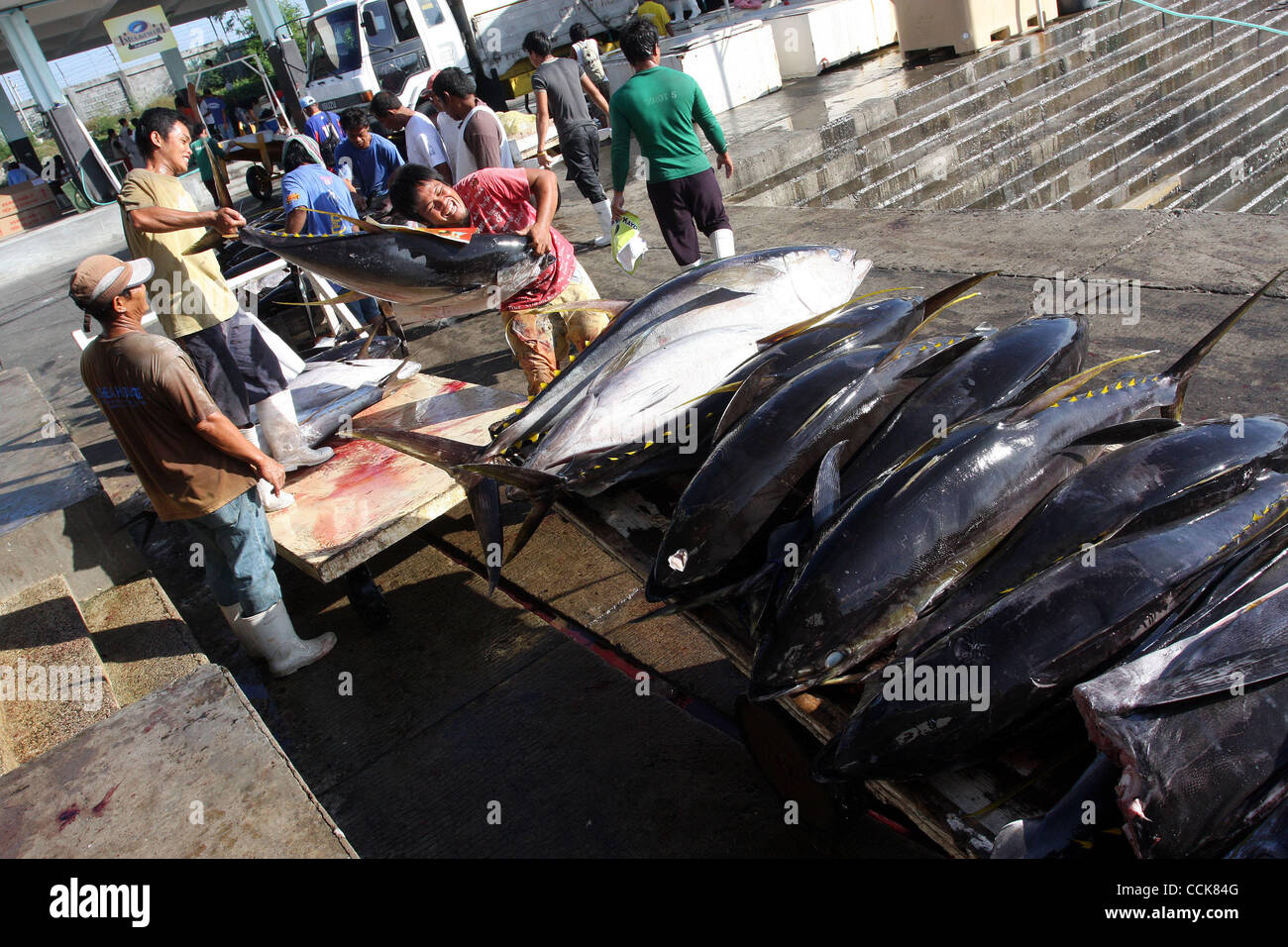 Philippine tuna hi-res stock photography and images - Alamy