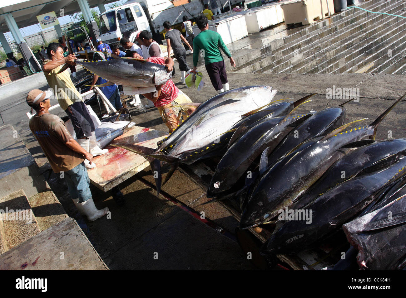 Philippine tuna hi-res stock photography and images - Alamy